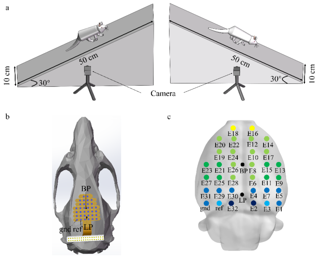 What is E03 Error in Treadmill?: Quick Fixes Unveiled - Medicdrug